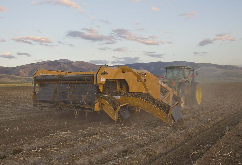 6500 Series Windrowers: Fast, High-Capacity Potato Harvesting Machines