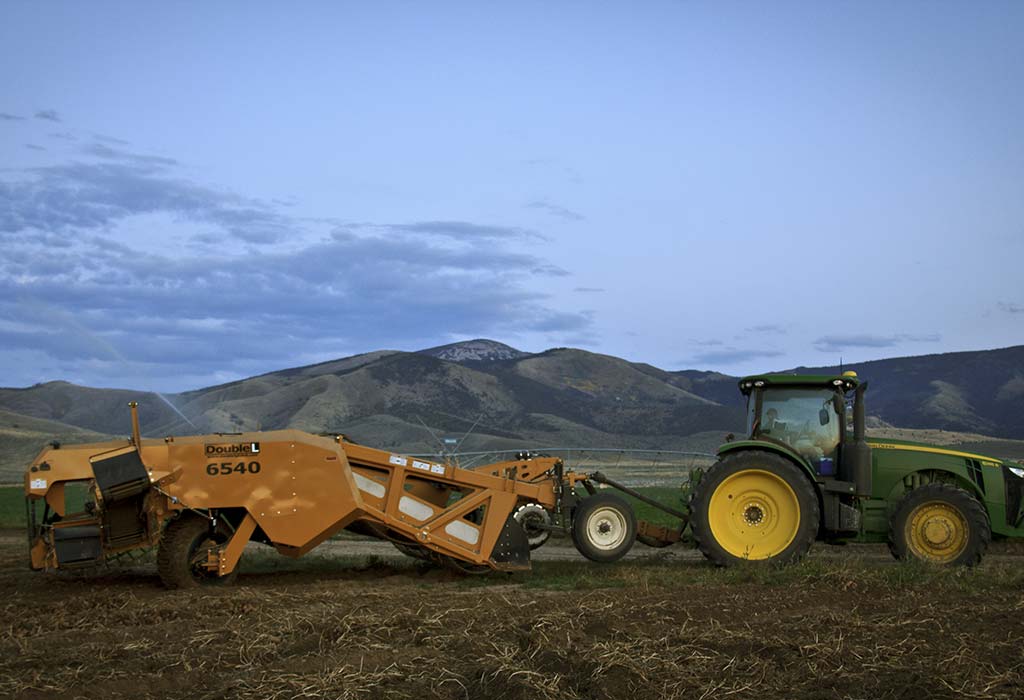 6500 Series Windrowers: Fast, High-Capacity Potato Harvesting Machines