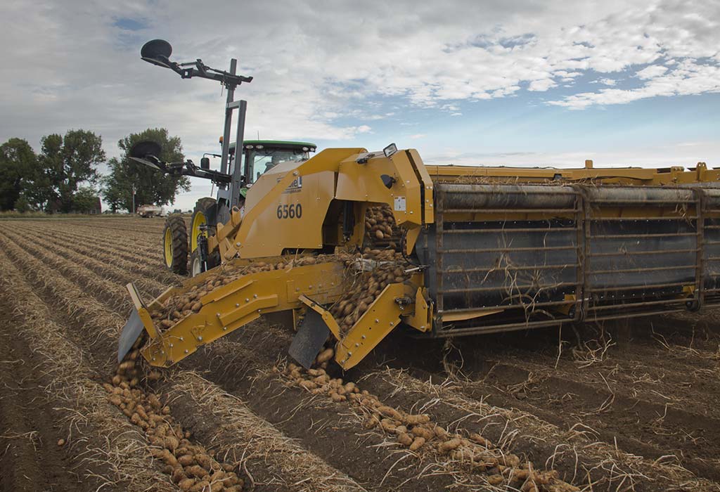 6500 Series Windrowers: Fast, High-Capacity Potato Harvesting Machines