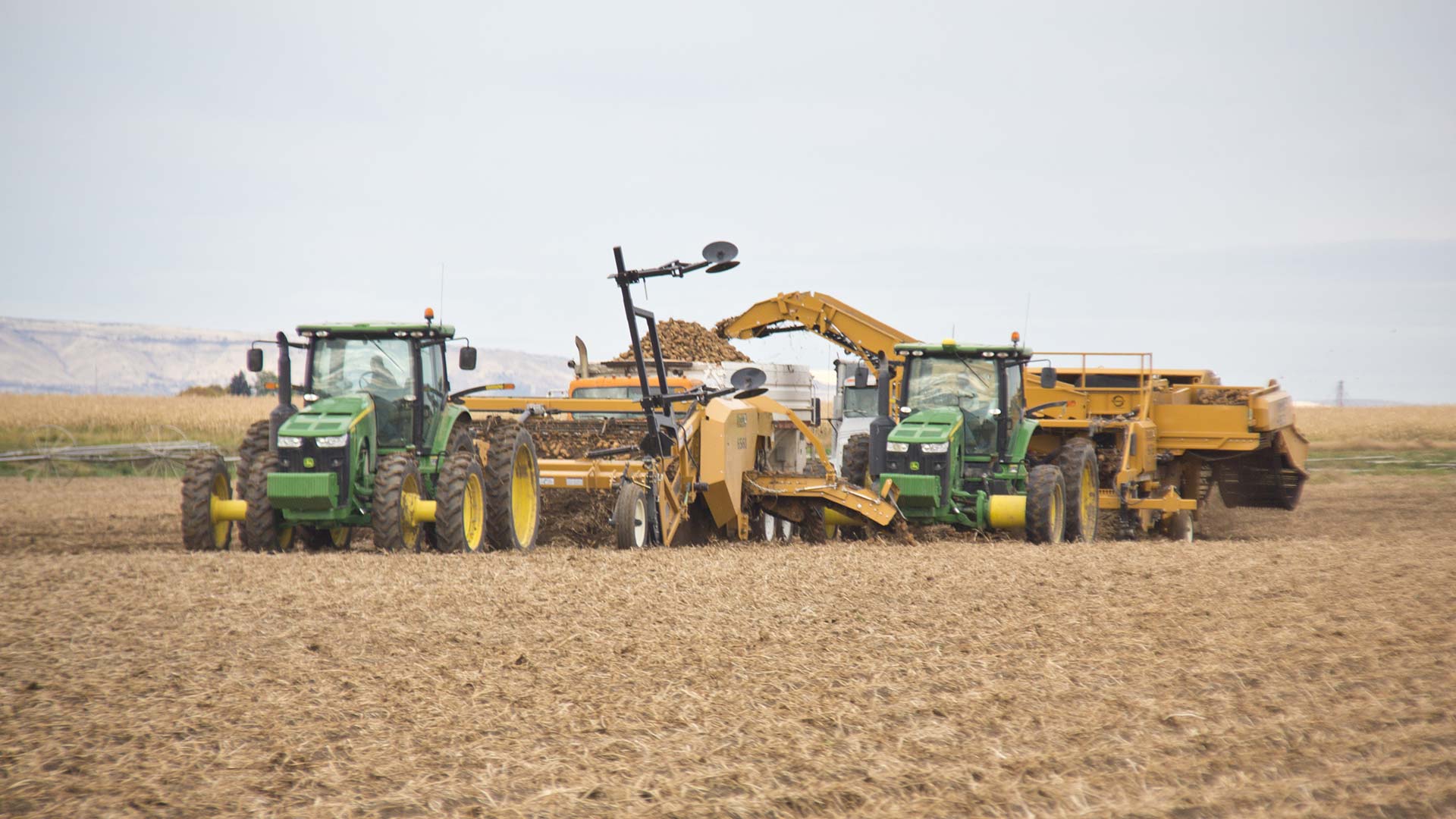 6500 Series Windrowers: Fast, High-Capacity Potato Harvesting Machines