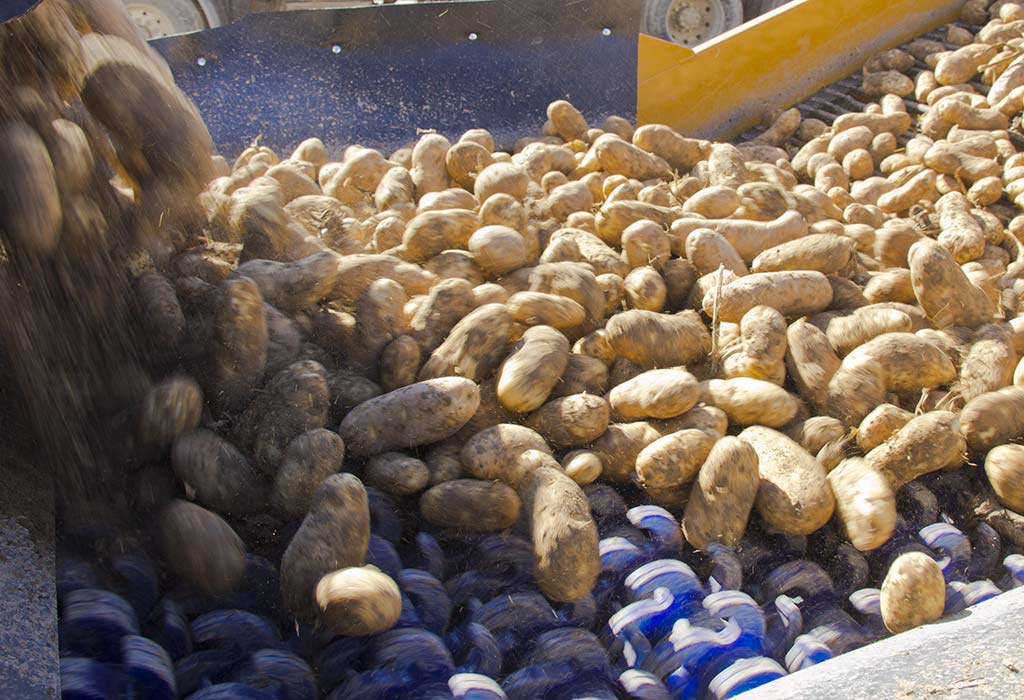 Dirt Eliminators: The Most Customizable Foreign Material Removing Solution