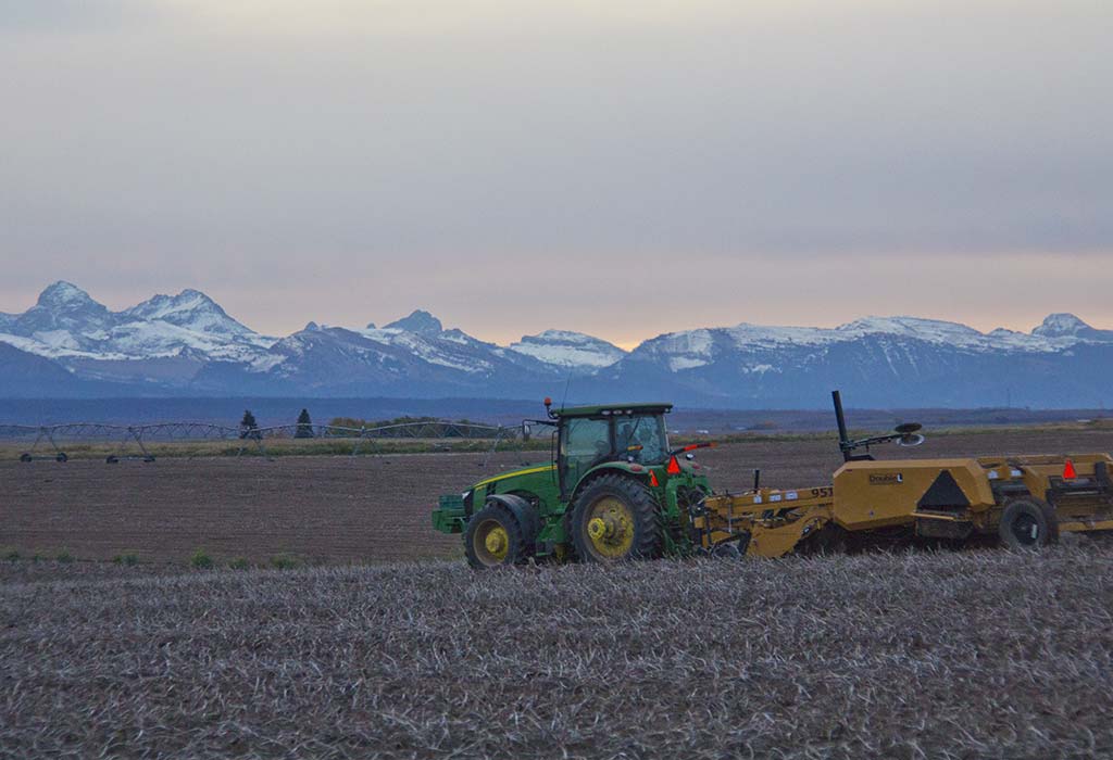The Legacy Class Potato Digger with True Rock Protection