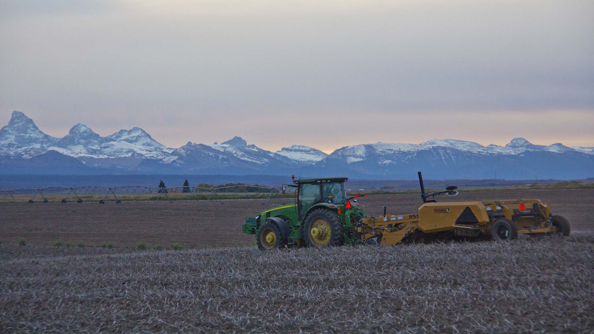 The Legacy Class Potato Digger with True Rock Protection