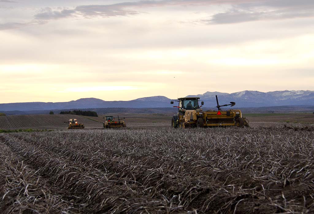 The Legacy Class Potato Digger with True Rock Protection