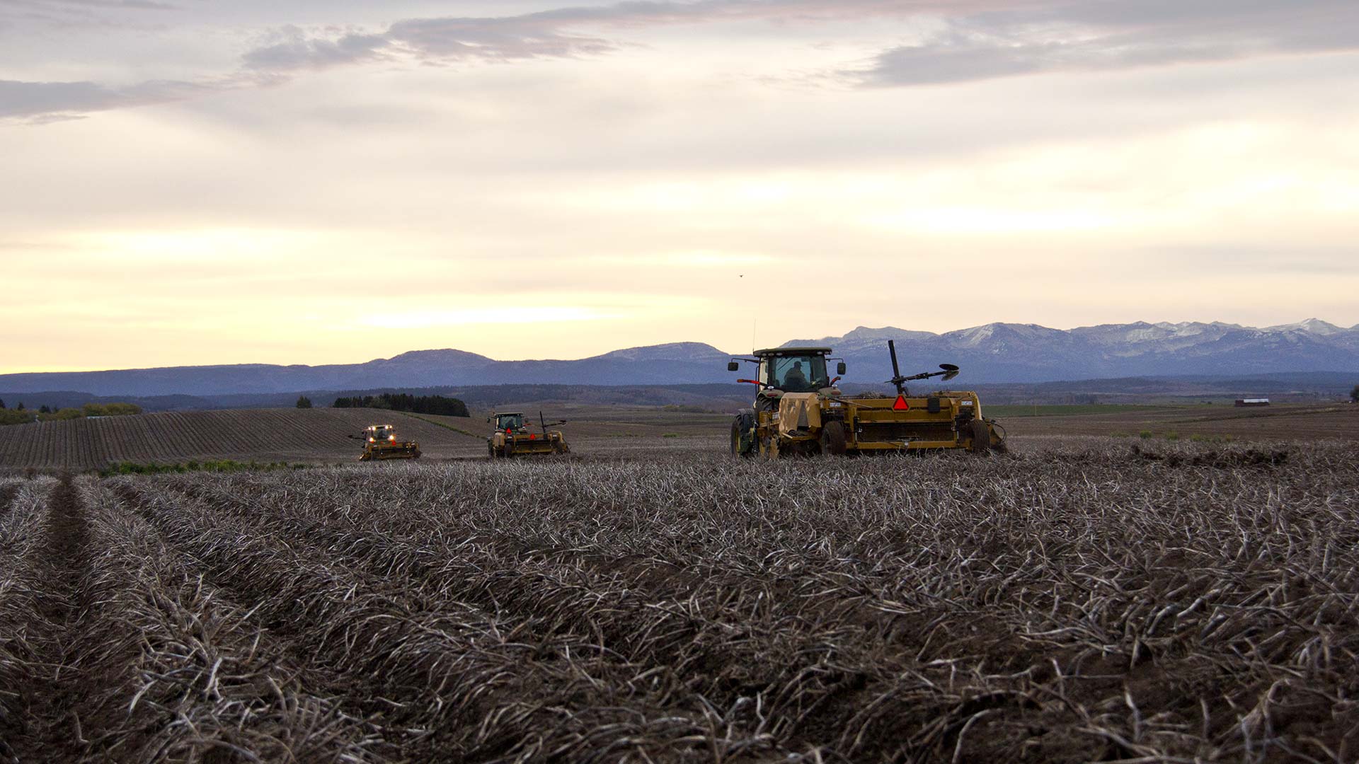 The Legacy Class Potato Digger with True Rock Protection