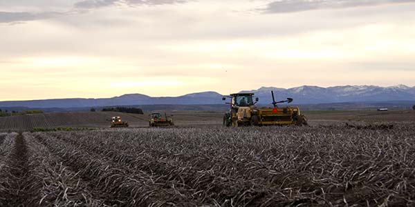The Legacy Class Potato Digger with True Rock Protection