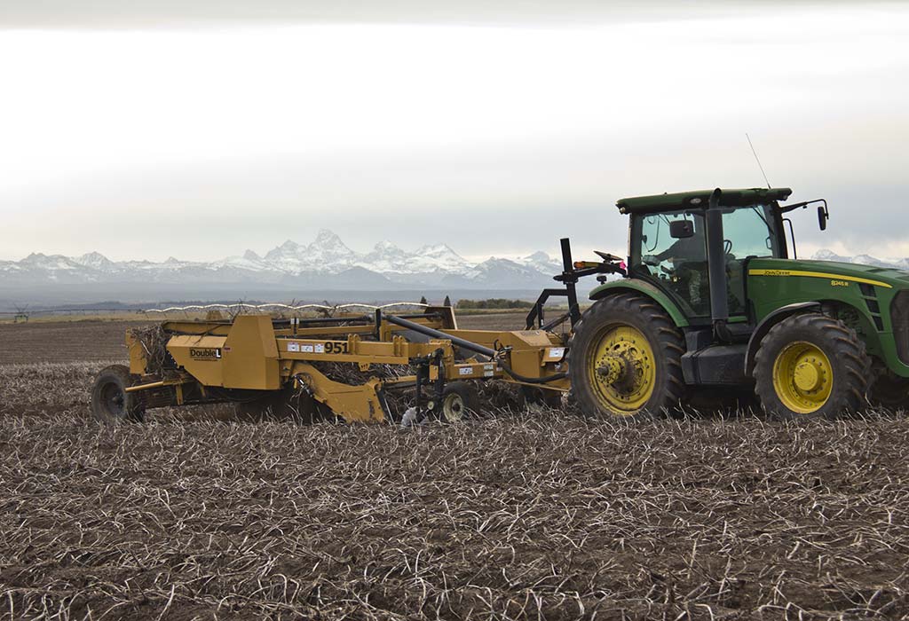 The Legacy Class Potato Digger with True Rock Protection