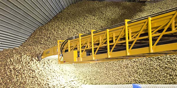 Pilers: The Gentle Method for Storing or Loading Your Product