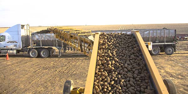 Pilers: The Gentle Method for Storing or Loading Your Product