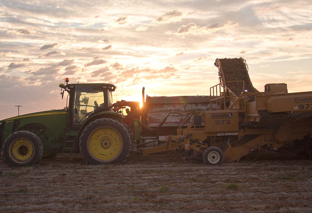 The Gold Standard of Potato Harvesting Equipment